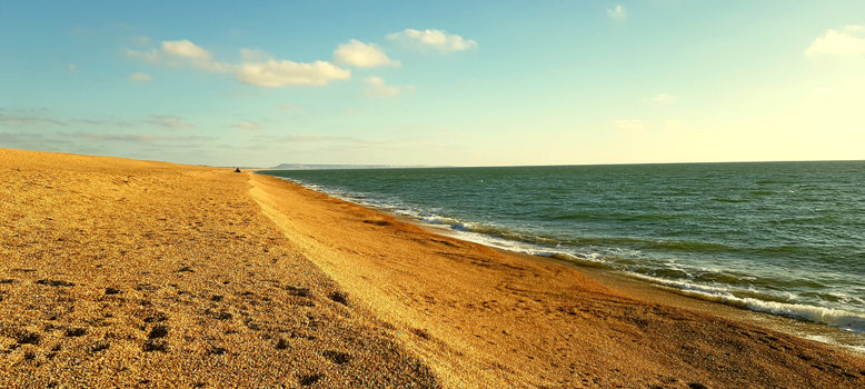 Blog – Dr Alison Merrick