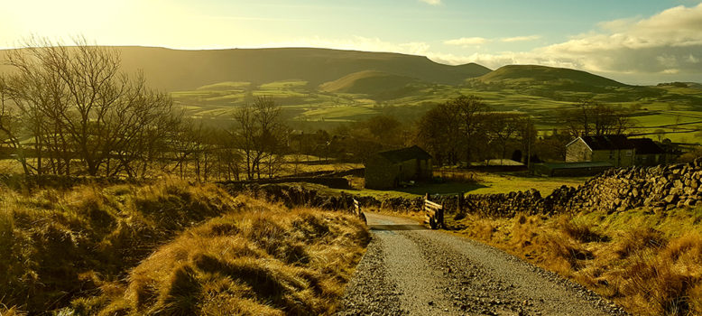 Blog – Dr Alison Merrick