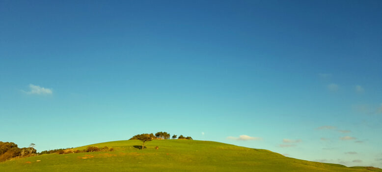 Blog – Dr Alison Merrick